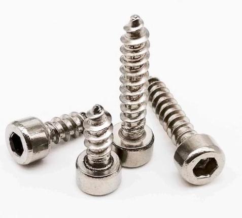 SS304 sekrup kayu soket hex - Haiyanbolt.com